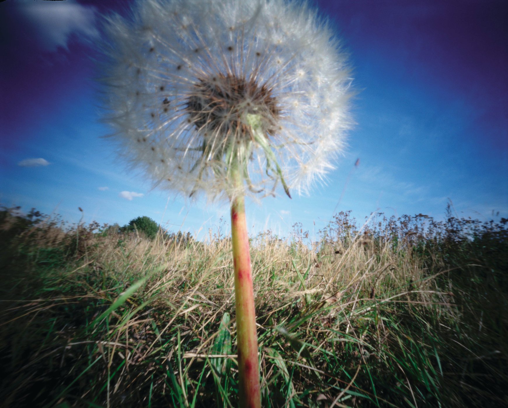 Habitat – Spring/Summer 2003: Supernature collection, 2002 (Retail ...