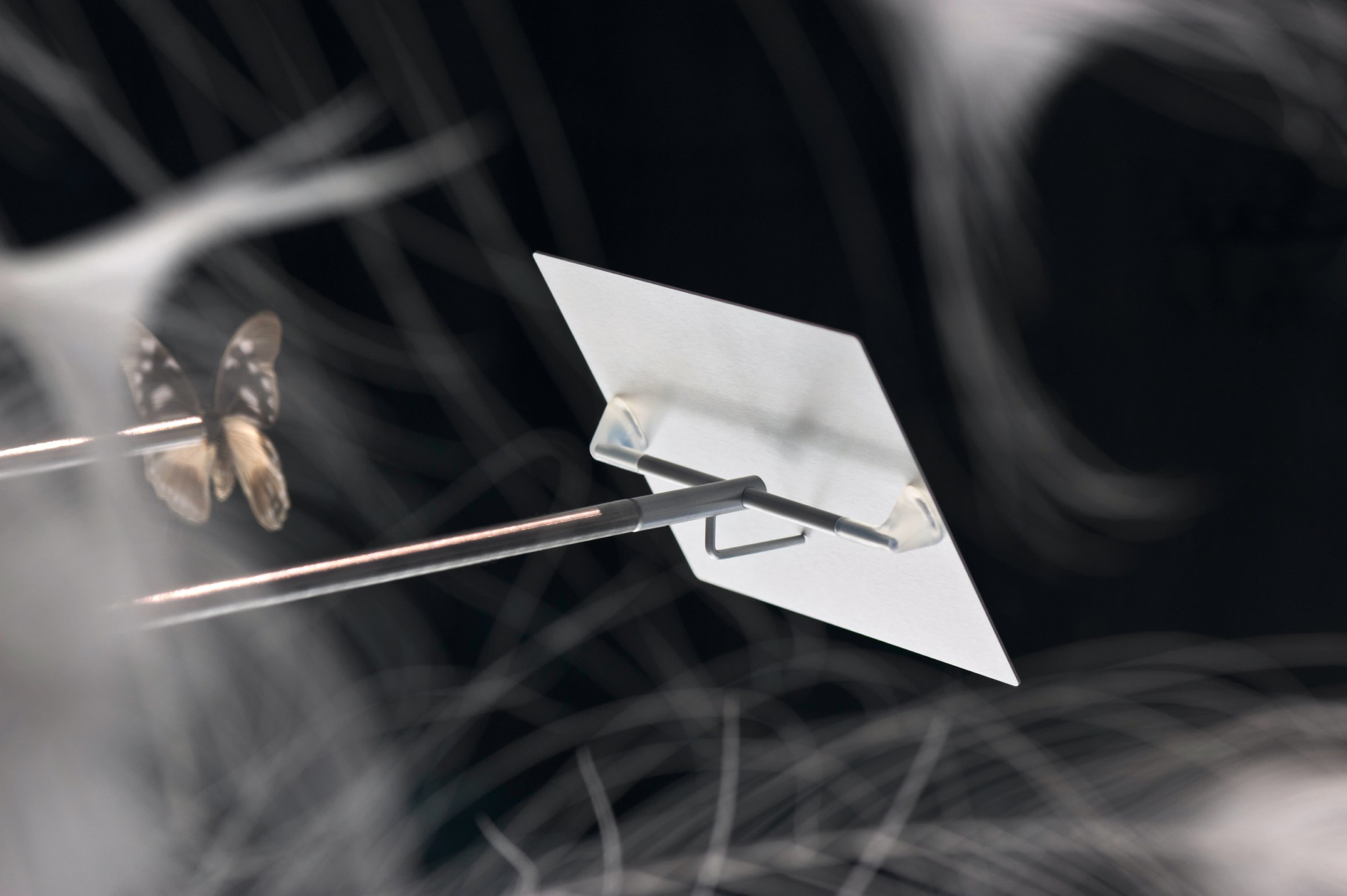 Science Museum – Who am I?, 2010 (Exhibition) | Graphic Thought Facility