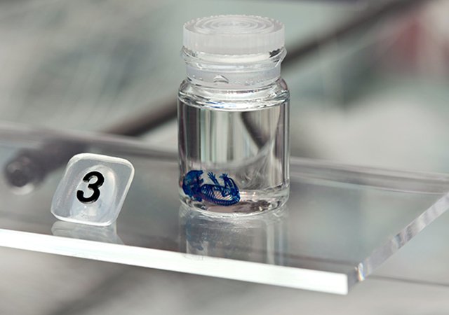 Science Museum – Who am I?, 2010 (Exhibition) | Graphic Thought Facility