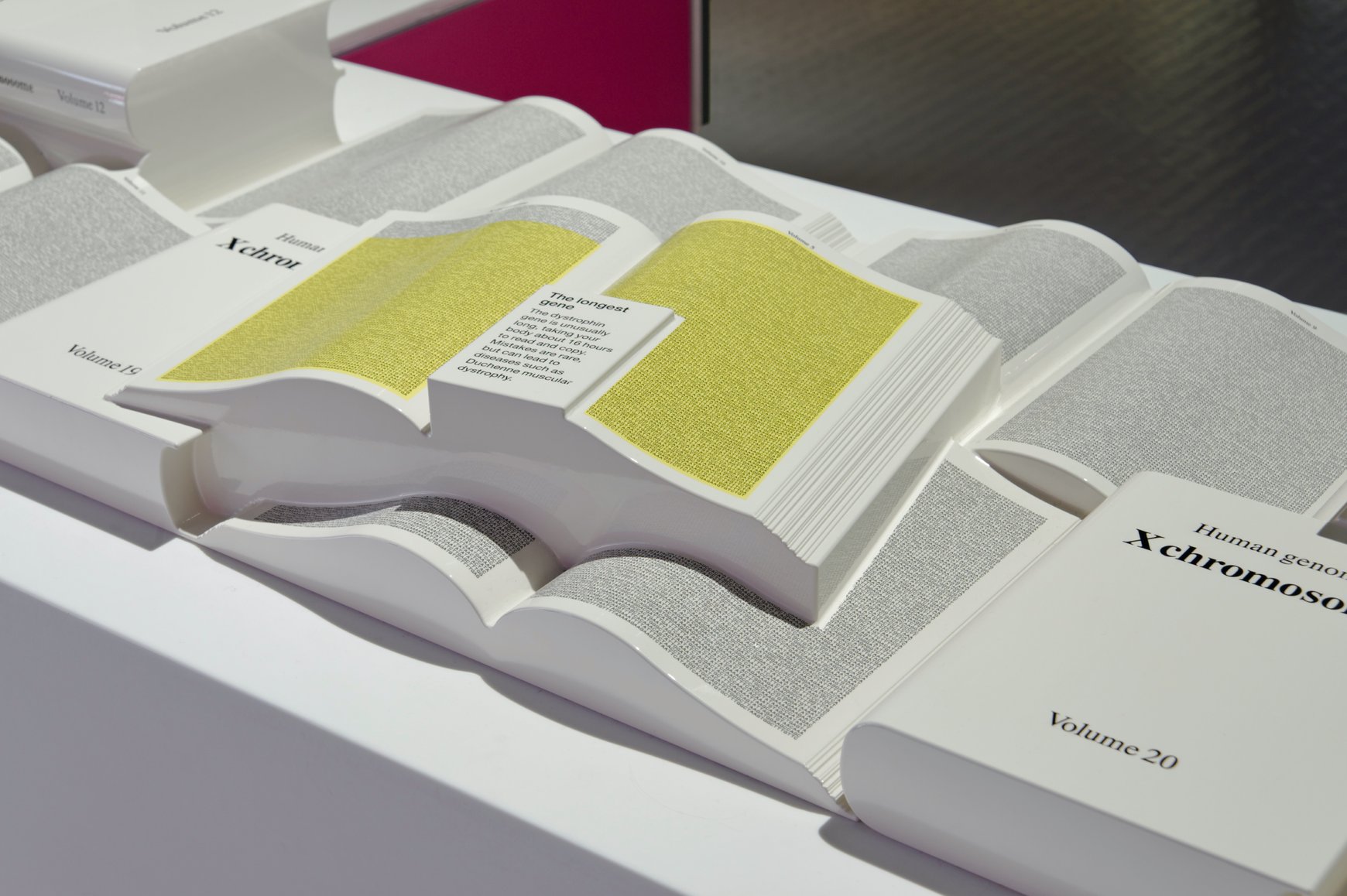 Science Museum – Who am I?, 2010 (Exhibition) | Graphic Thought Facility