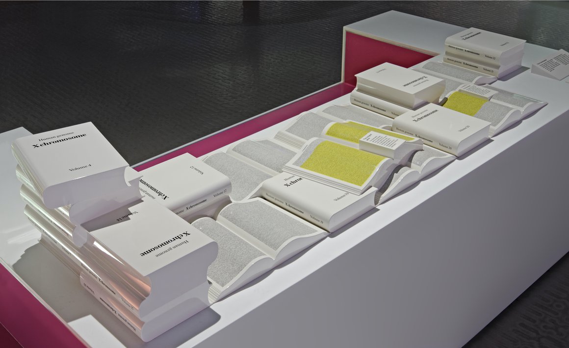 Science Museum – Who am I?, 2010 (Exhibition) | Graphic Thought Facility