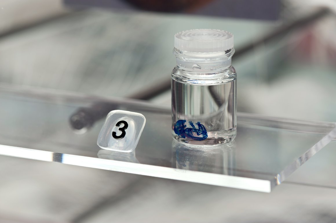 Science Museum – Who am I?, 2010 (Exhibition) | Graphic Thought Facility