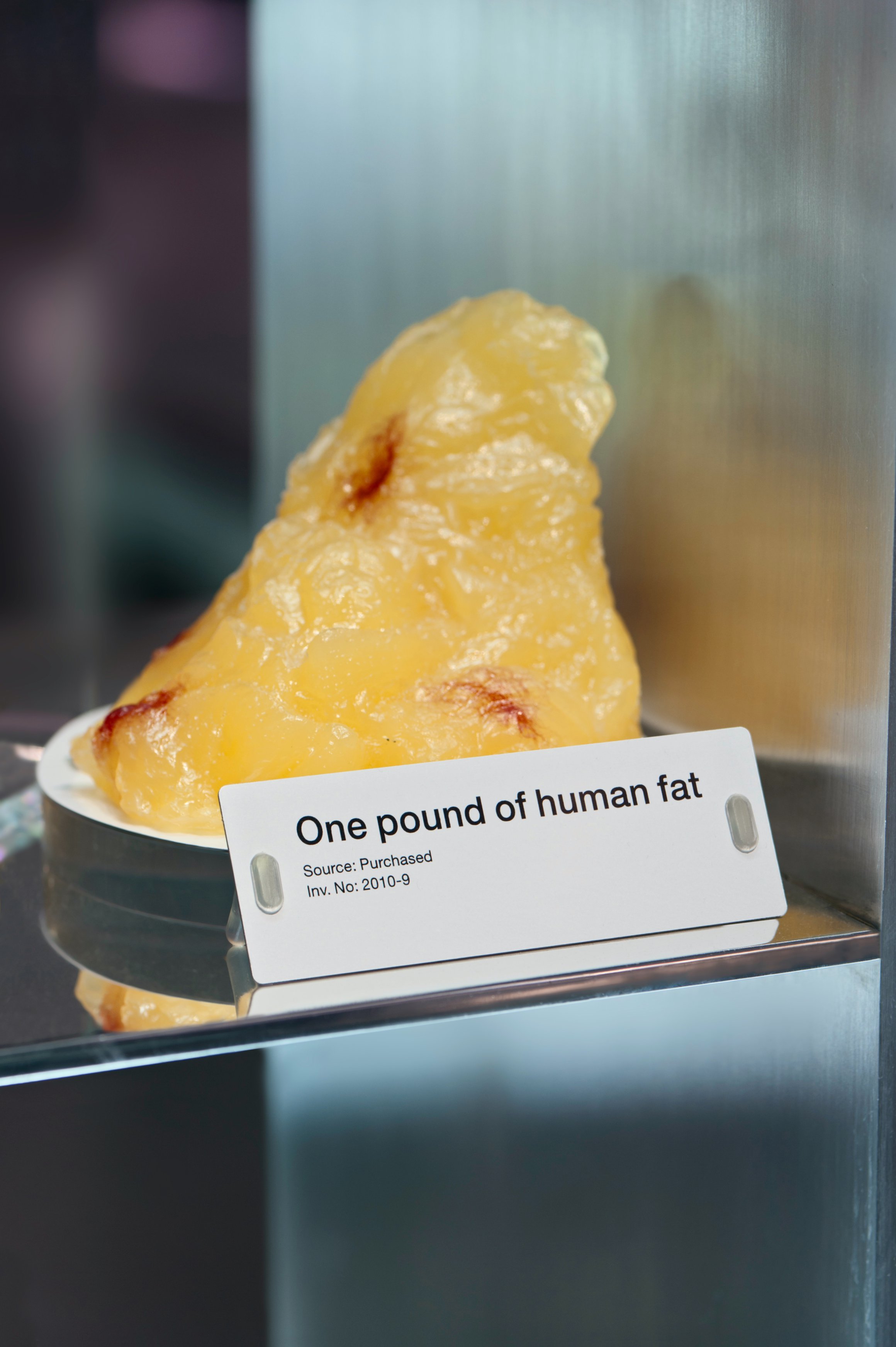 Science Museum – Who am I?, 2010 (Exhibition) | Graphic Thought Facility