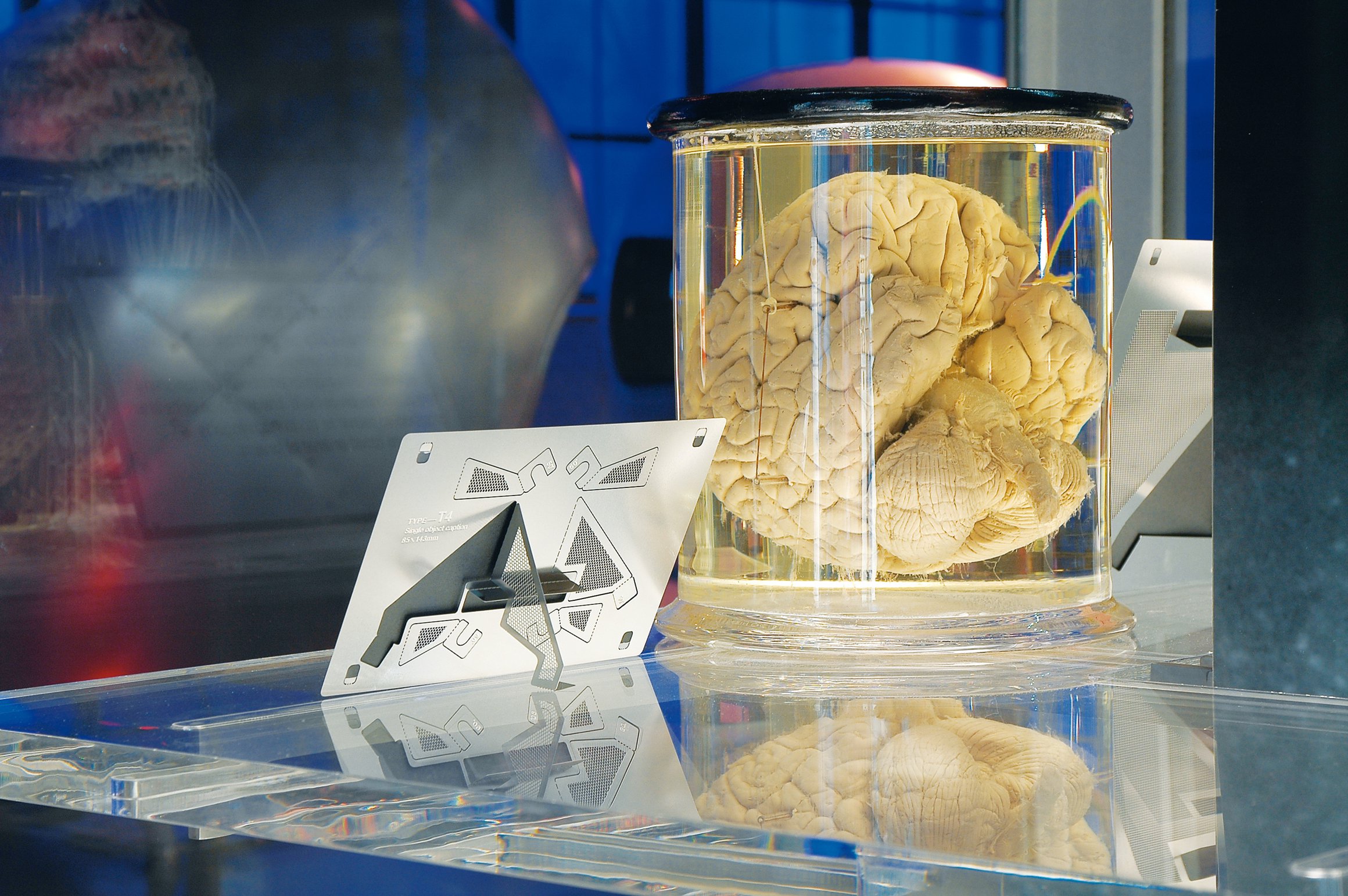 Science Museum – Who am I?, 2000 (Exhibition) | Graphic Thought Facility