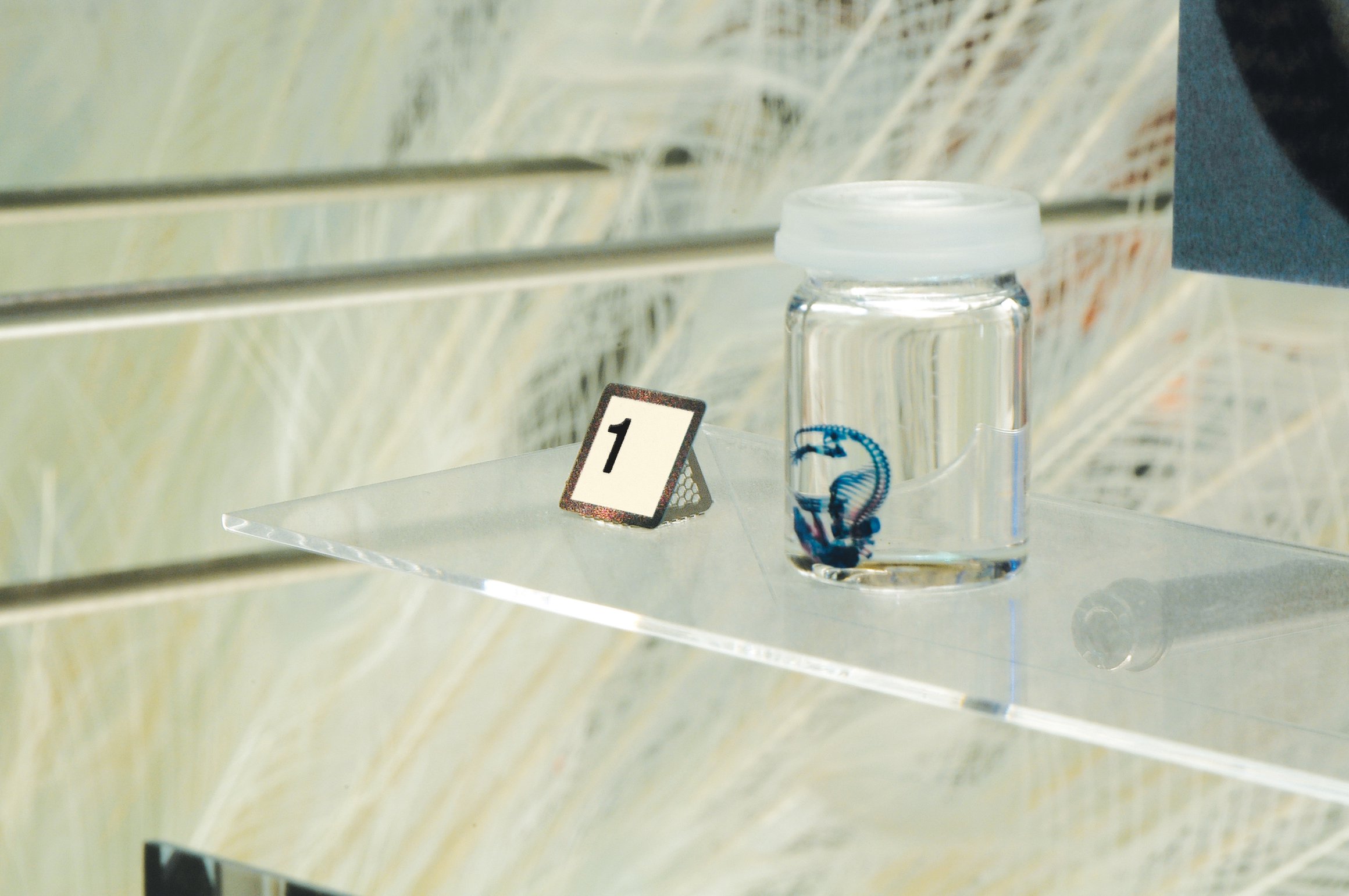 Science Museum – Who am I?, 2000 (Exhibition) | Graphic Thought Facility