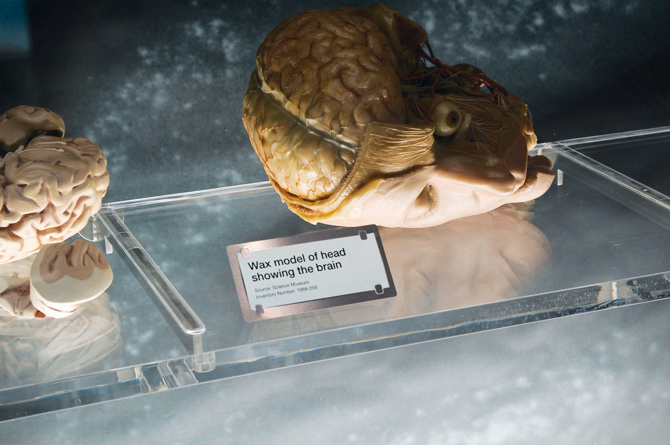 Science Museum – Who am I?, 2000 (Exhibition) | Graphic Thought Facility